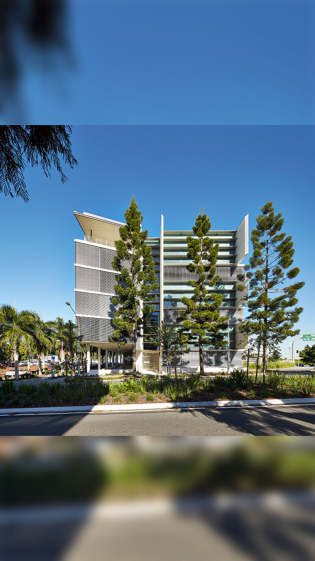 KIRK | Projects | Mass Engineered Timber | Sustainability